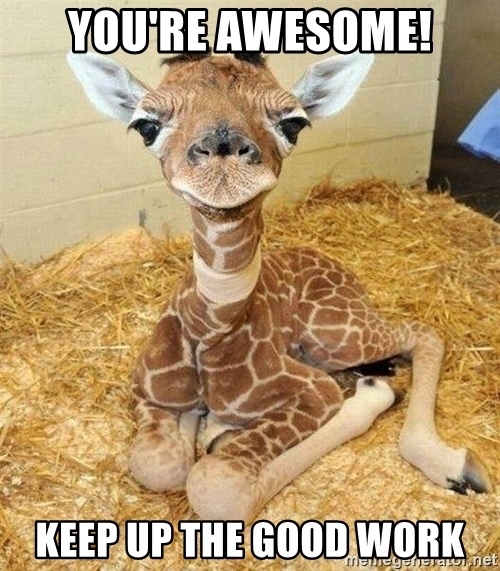 Beautiful Giraffe Girl Photos Funny Memes Mindblowing Memes theChive