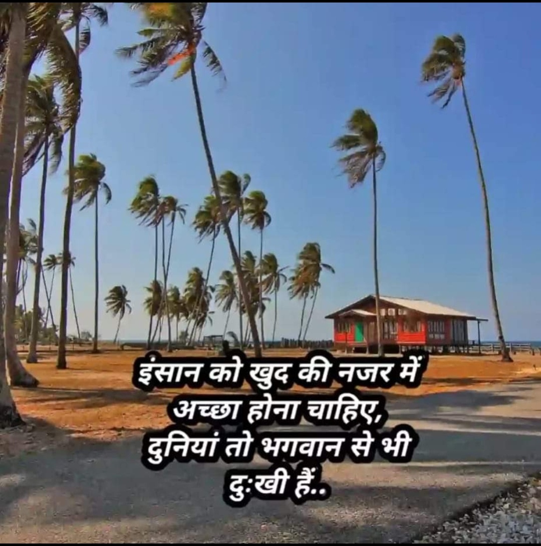 Disqus Profile - disqus_MbrtZRsSZc