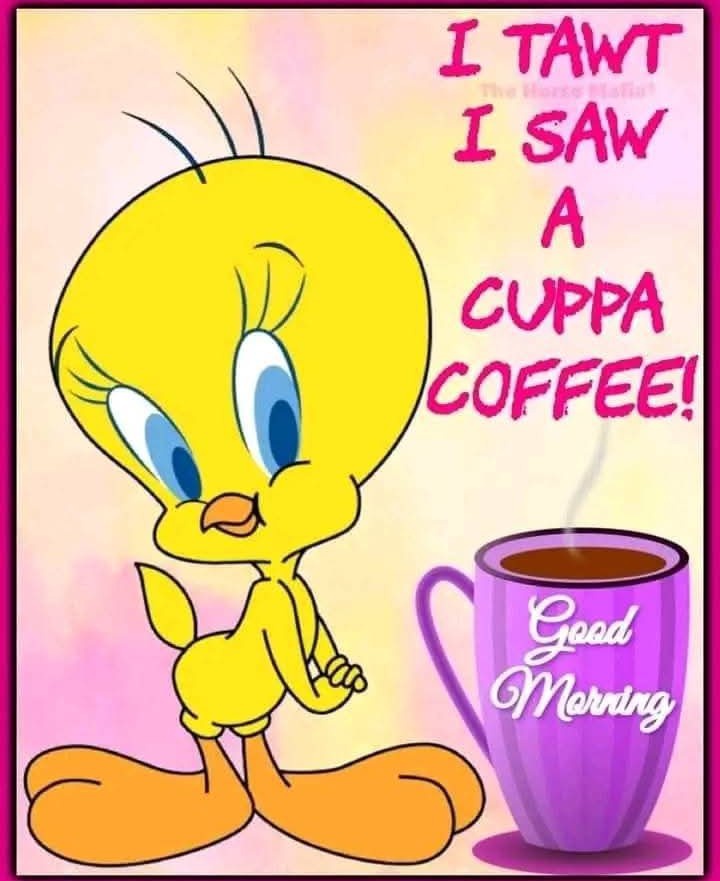 Disqus Profile - rolypolyolywhatdaqque