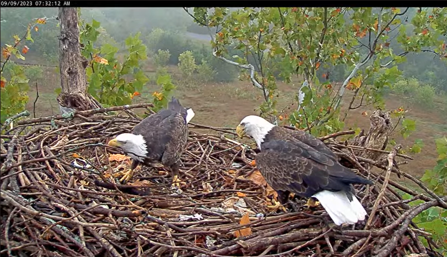 Disqus Profile - disqus_tVzoDyf9ji