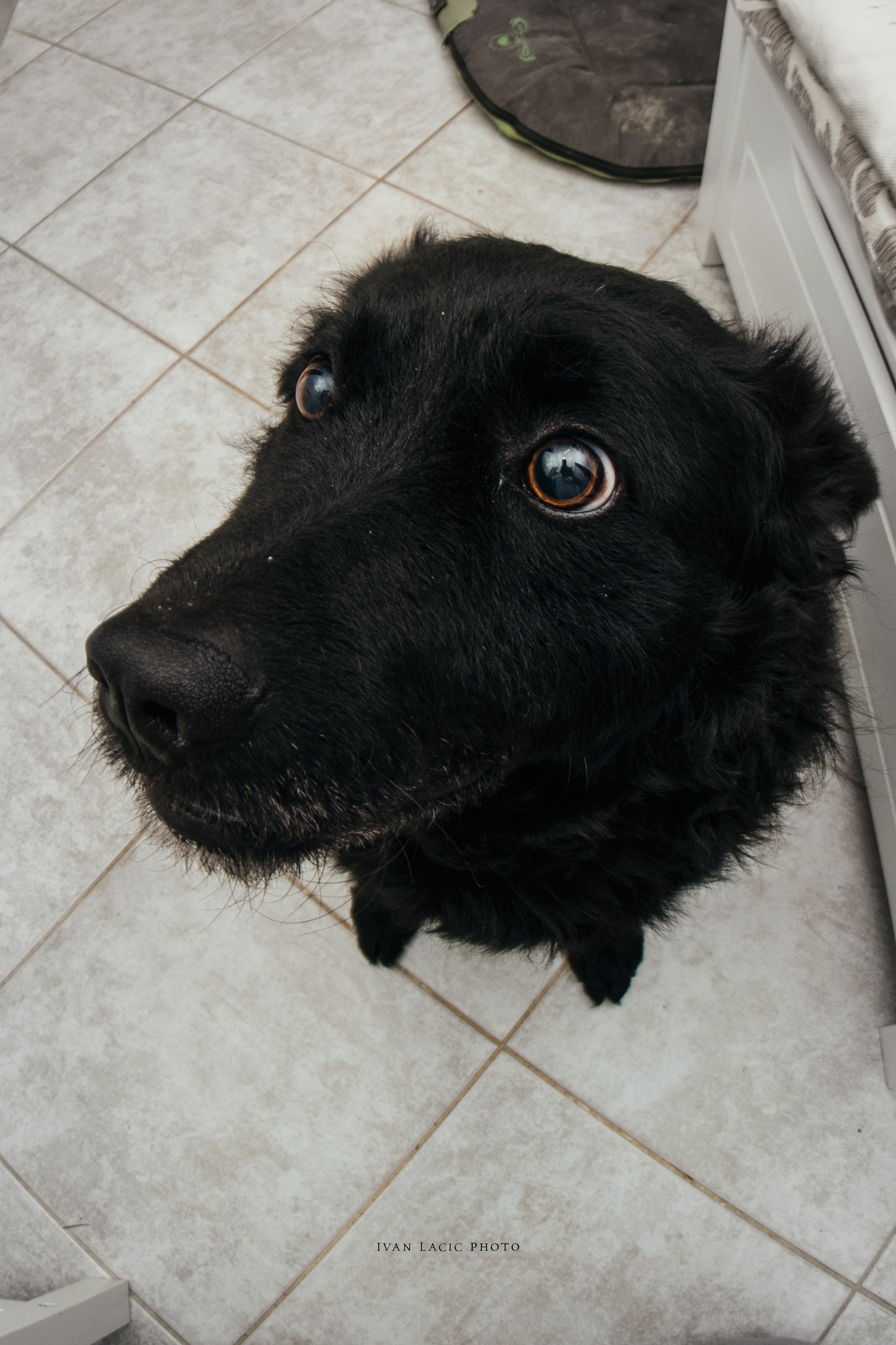 5 Ways to Get Creative with a Fisheye Lens