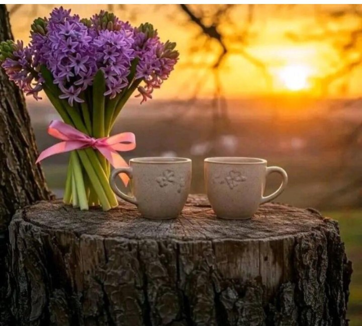 Disqus Profile - rolypolyolywhatdaqque