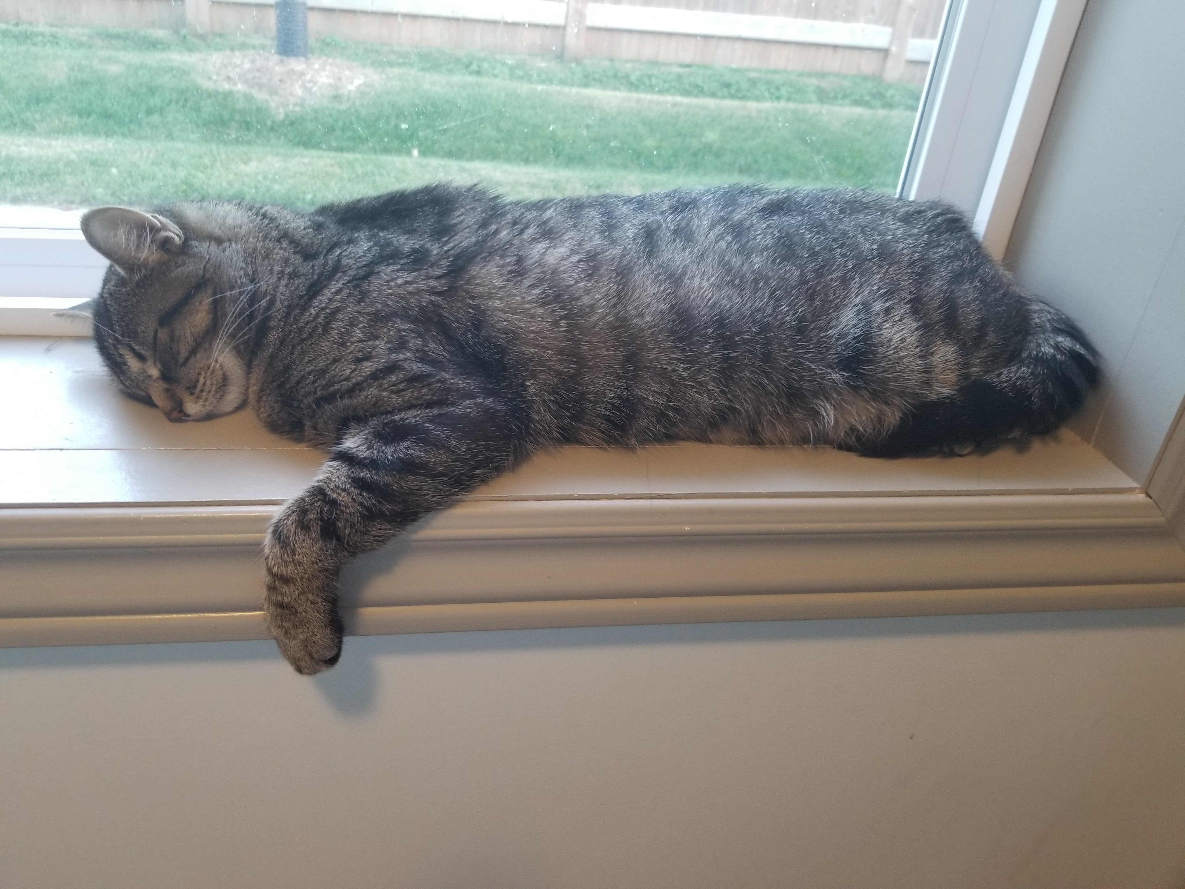 GTS – Page 45 – Kidd Commander!