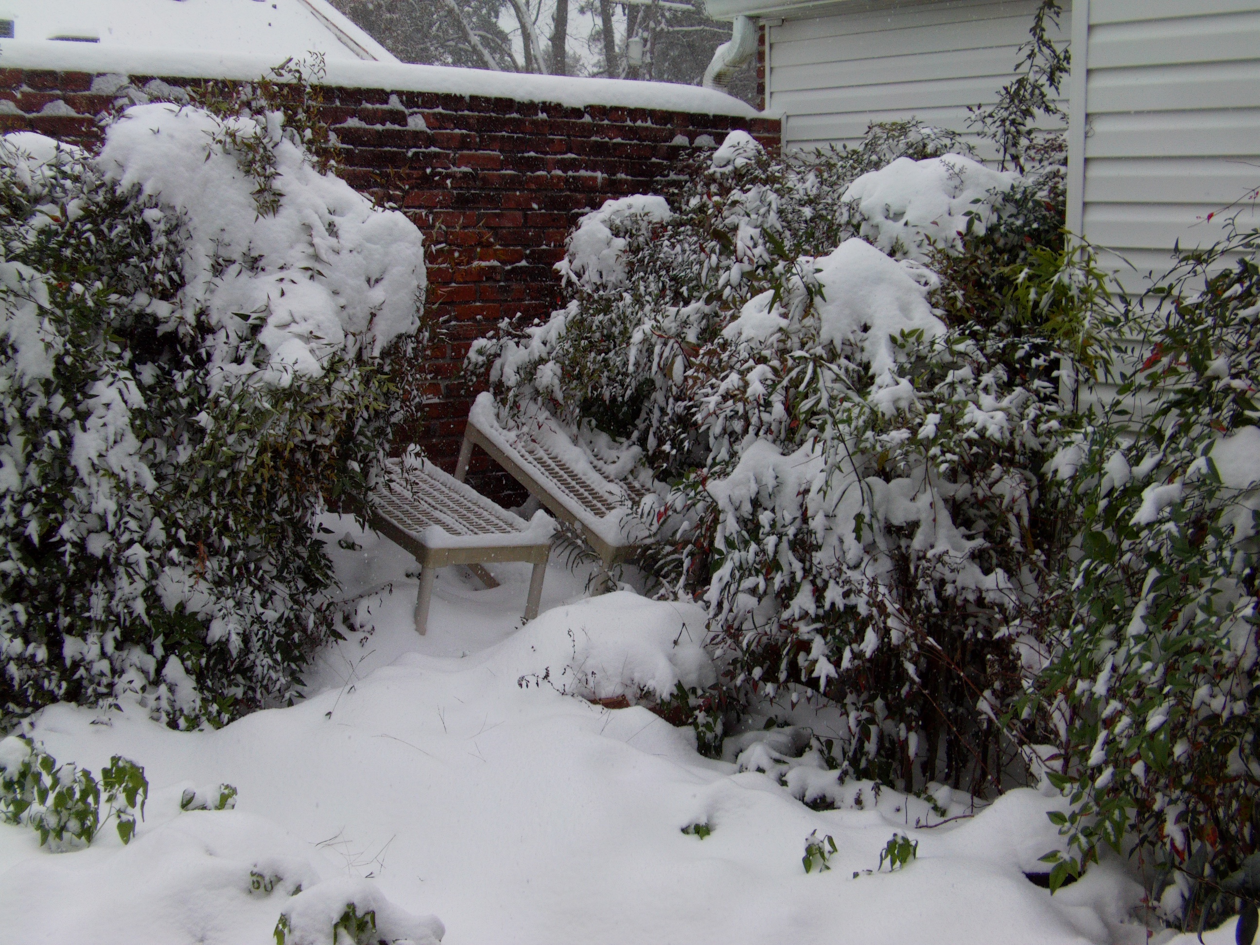 OT: Gulf Coast Snowmageddon on Tue. with Polar Vortex | IMDB v2.3