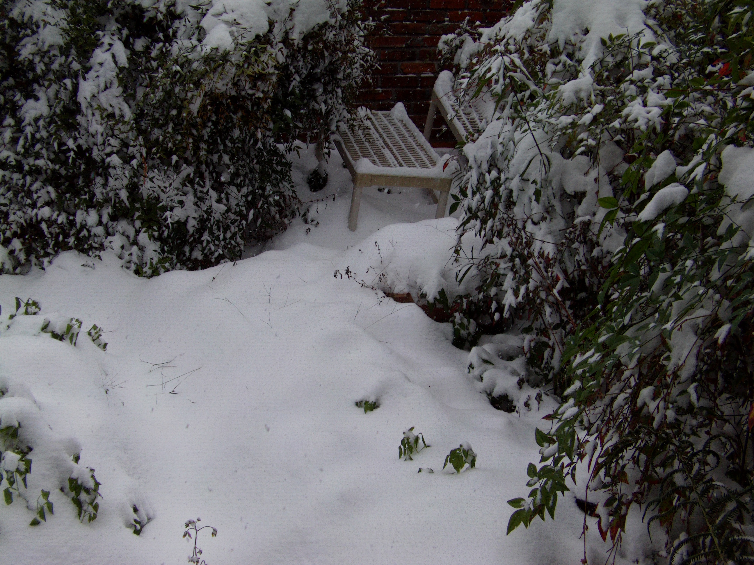 OT: Gulf Coast Snowmageddon on Tue. with Polar Vortex | IMDB v2.3