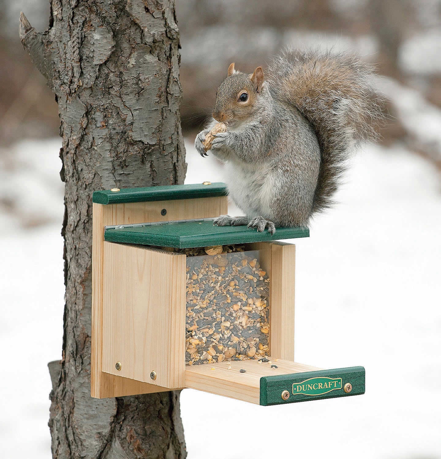 Bird posts that will have you quacking up (35 Photos)