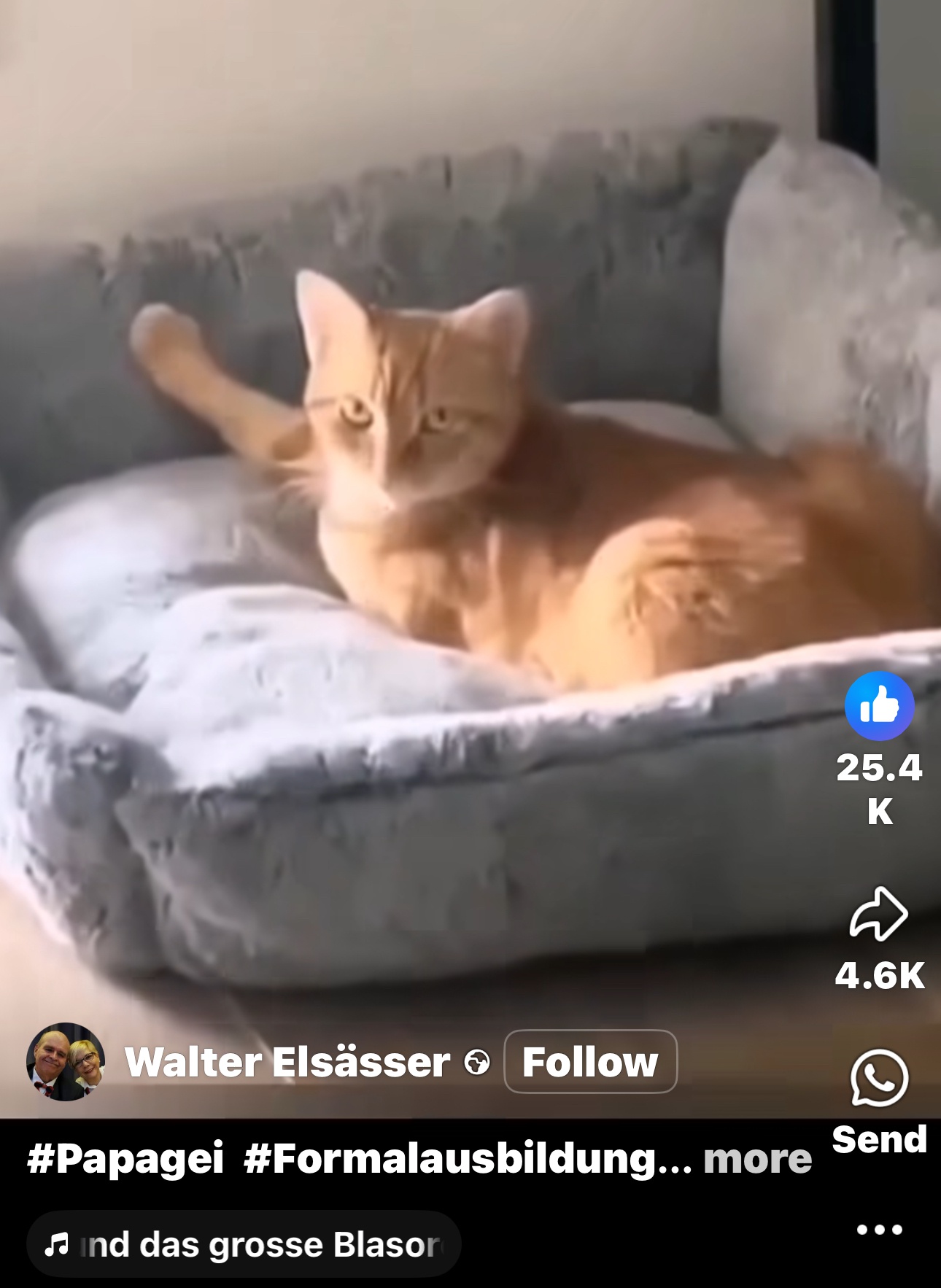 Disqus Profile - disqus_mUFkiOt3RO