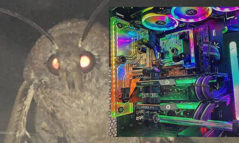 Gigabyte Submits 12 NVIDIA GeForce RTX 3080 Ti 12 GB Graphics Card & A ...