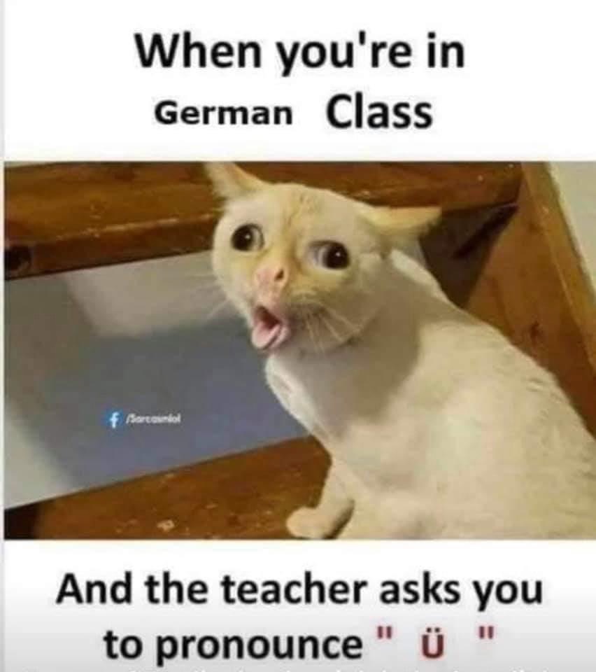 Disqus Profile - disqus_JbsGmXDrOG