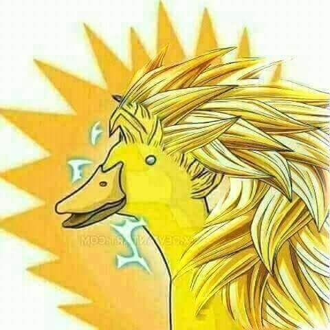 TMOHentai - Loli & Futa Vol 1