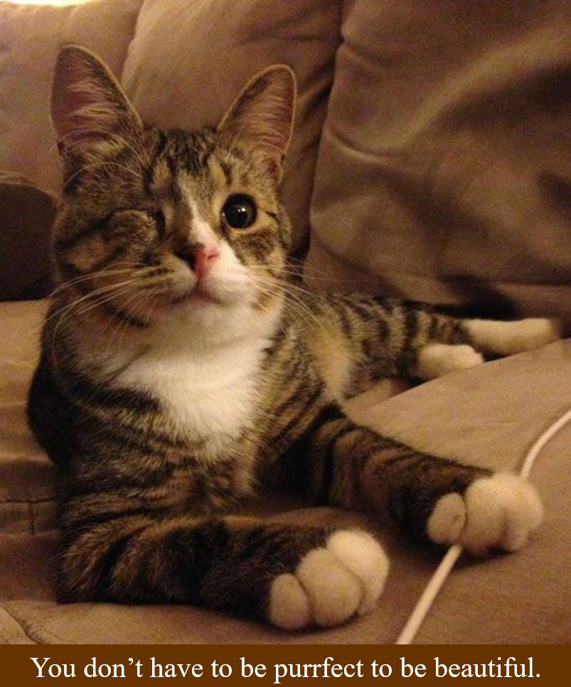 Disqus Profile - disqus_UXr6GXgvYa