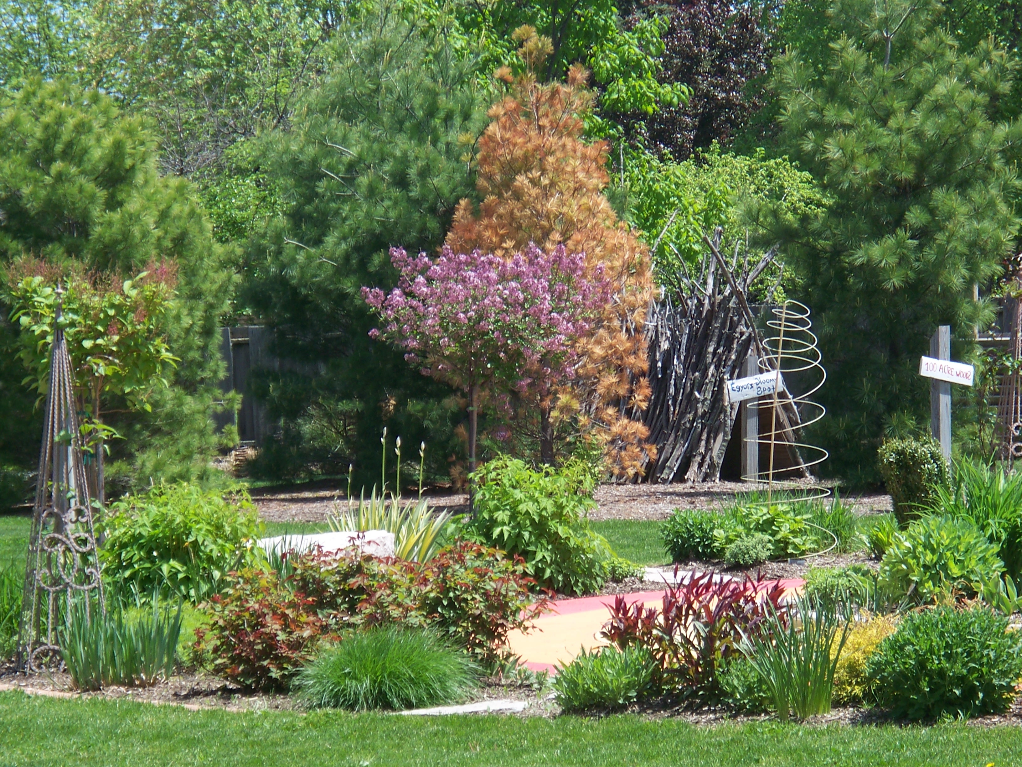 Tips for Doing Nature Photography at Your Local Parks