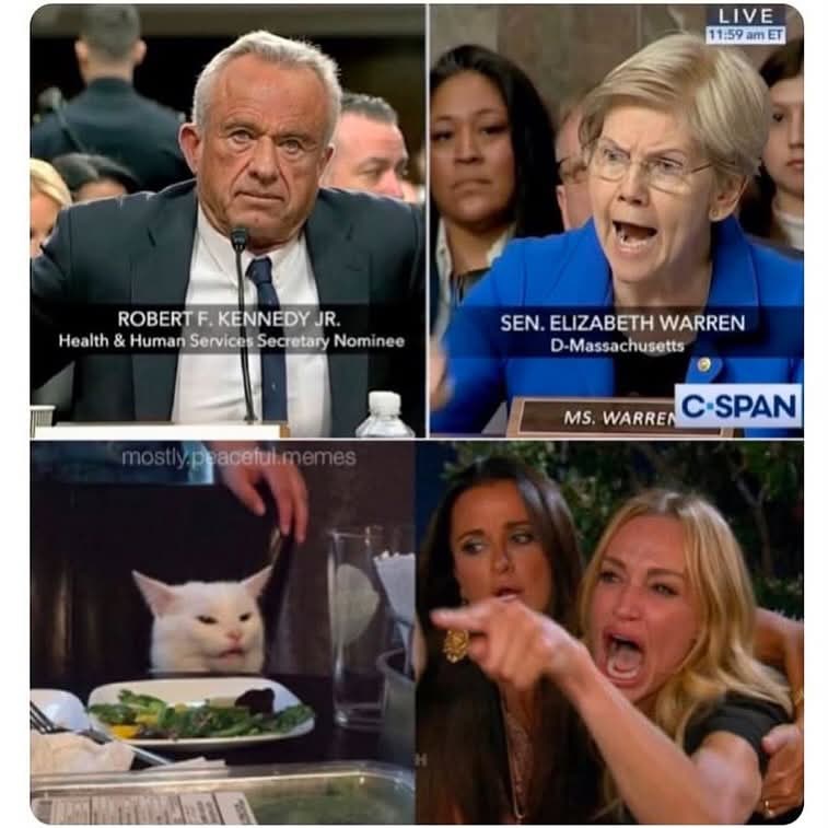 Disqus Profile - momerath