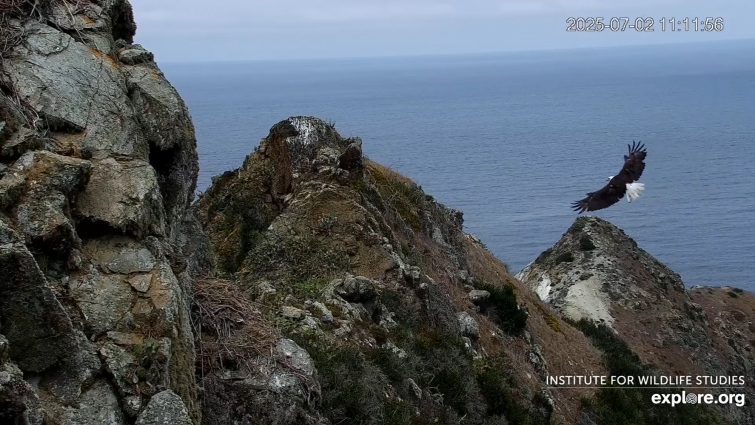 Disqus Profile - iwsciber