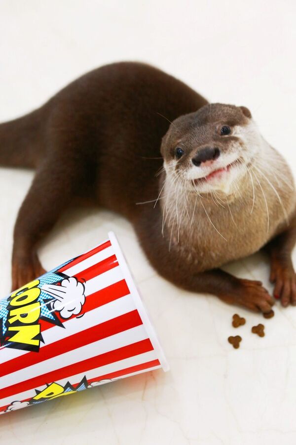 Disqus - Best Chivette Challenges of 2024 [Part 2]