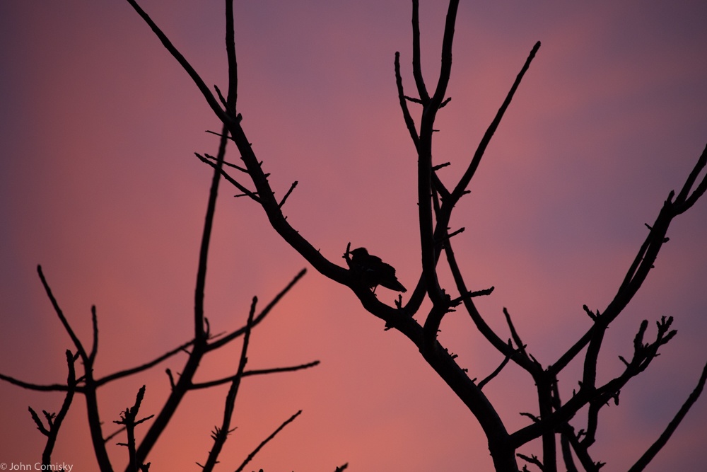 Weekly Photography Assignment: Sunrise & Sunset | Nature TTL