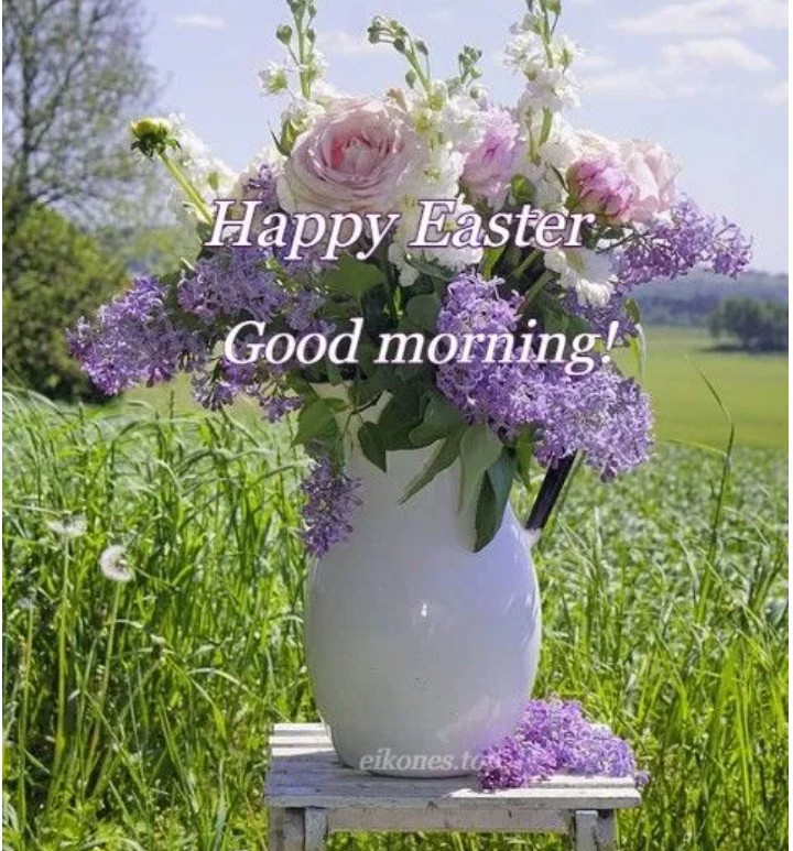 Disqus Profile - rolypolyolywhatdaqque