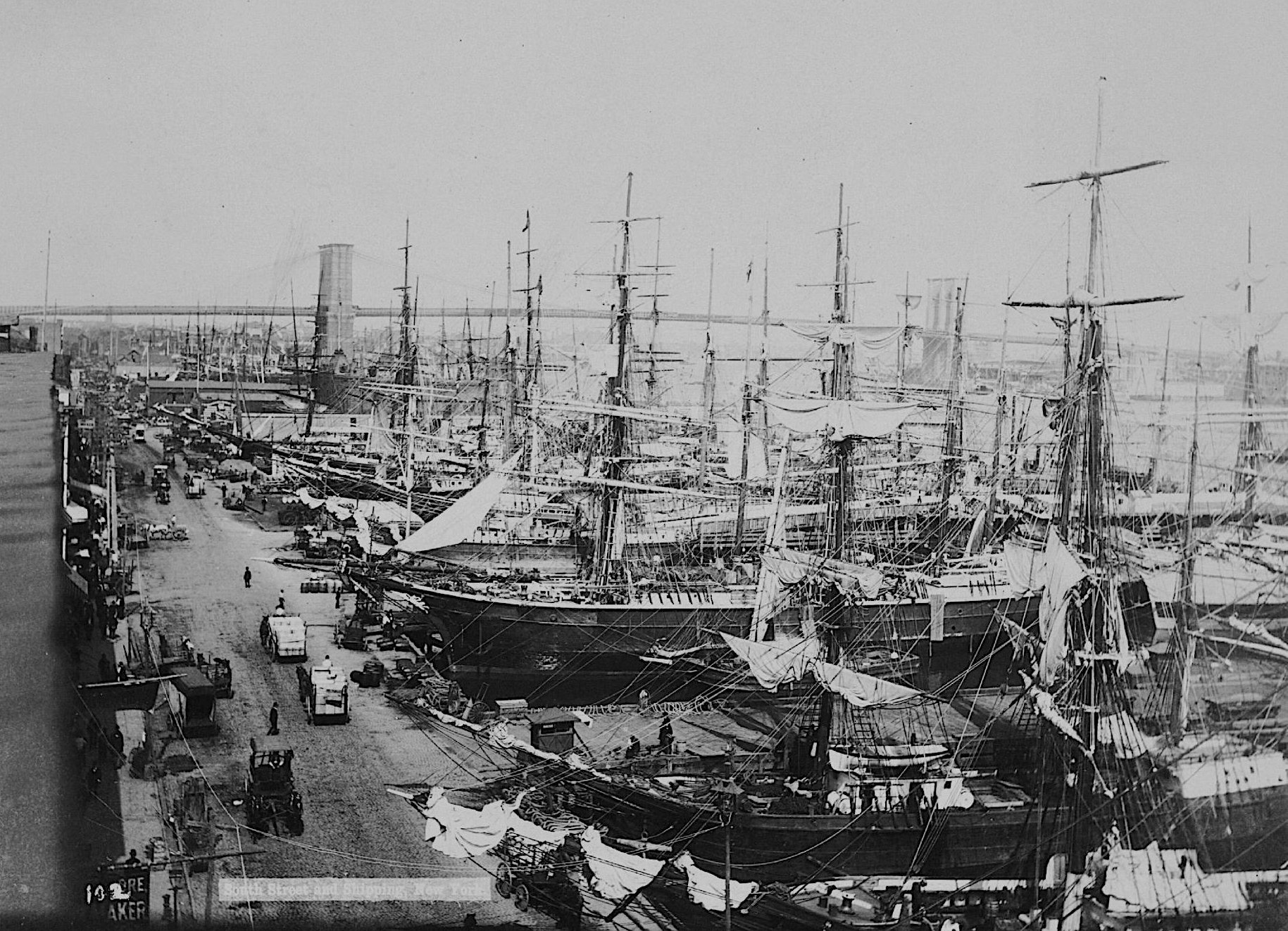 Open Thread Wednesday | Brooklyn Heights Blog