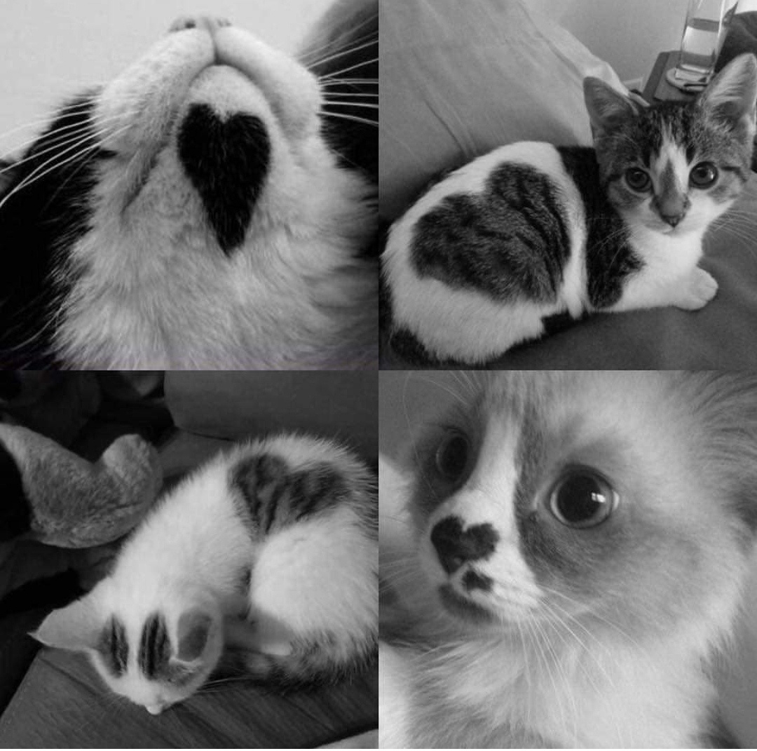 Discussion: NVIDIA Teases Ampere GPU Powered DGX A100 Supercomputing System Ahead of GTC 2020 ...