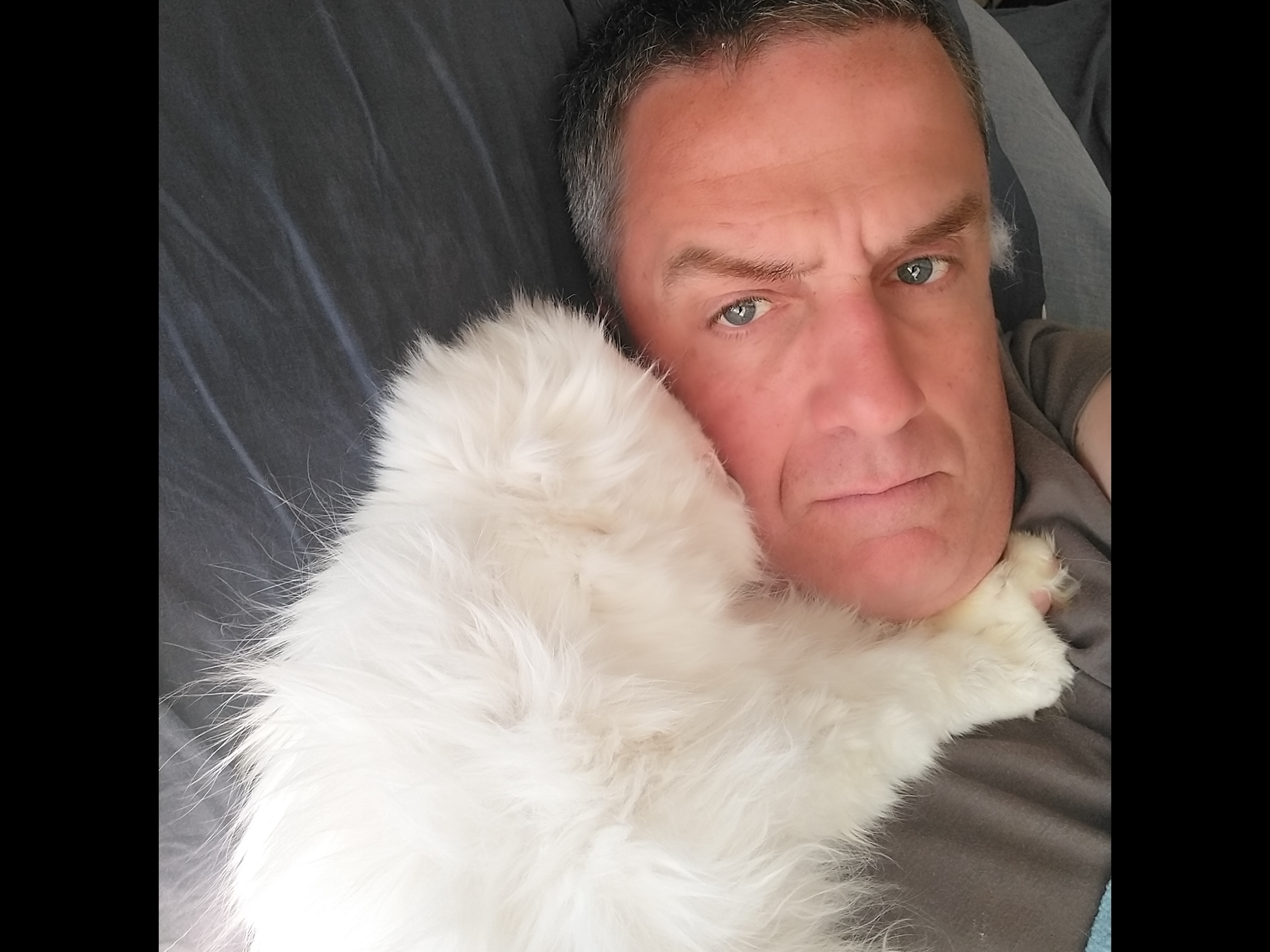Disqus Profile - anonymous_mike