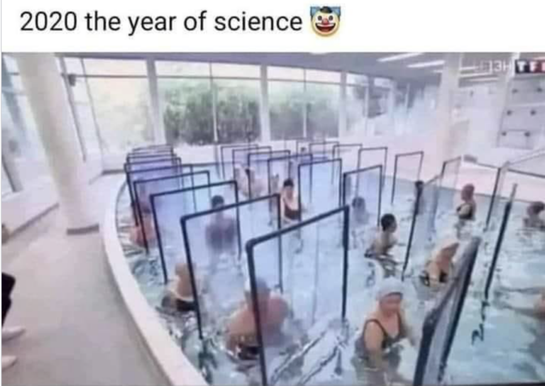 Disqus Profile - disqus_YEaDEGtchi